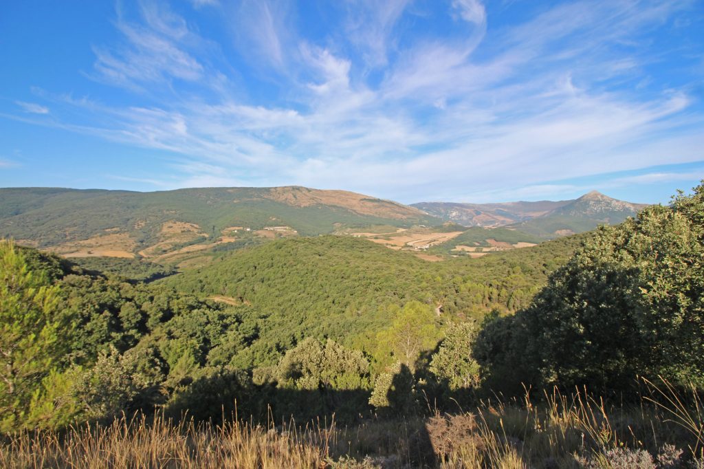 Galería - Palacio de Olza