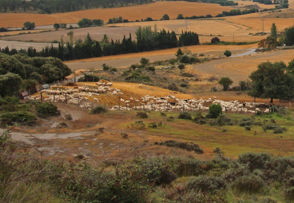 Galería - Palacio de Olza